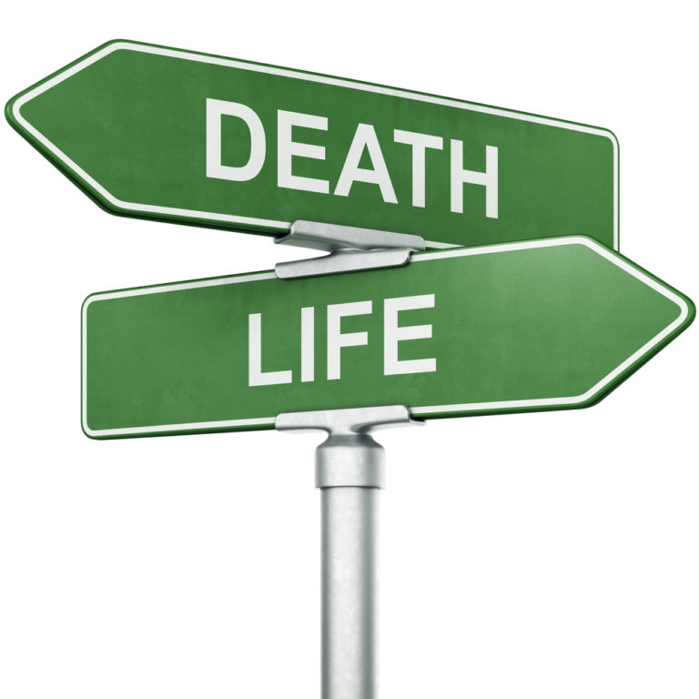 Death… Life… – Dr Shelley – Sexologist